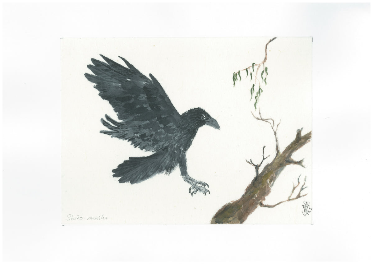 Shiro-mashi pure handmade Echizen washi paper by Heizaburo Iwano Paper ...